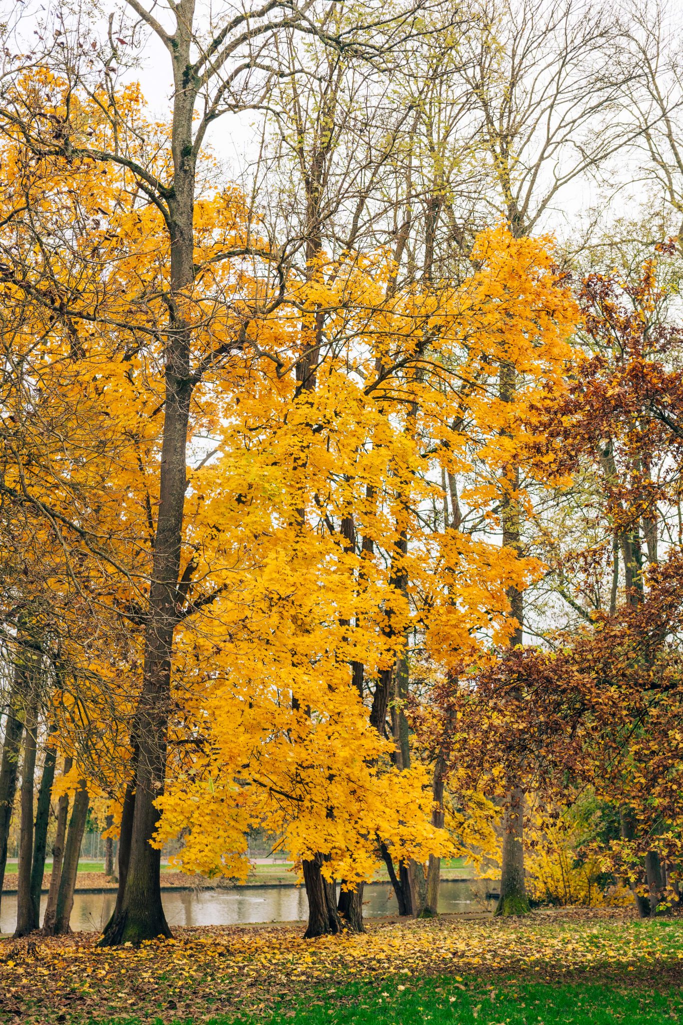 Une après-midi à Gressy • Grand Roissy Tourisme